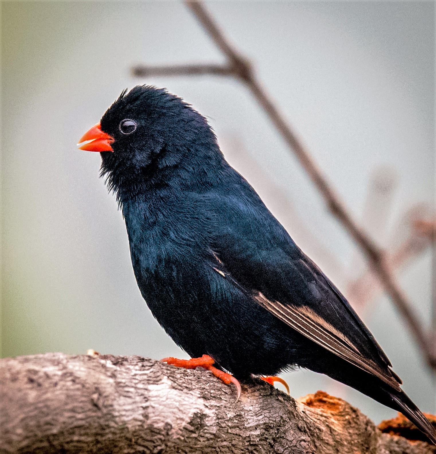 Gallery - The Hidden Valley